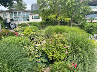 Resources | The Edgewater Colony