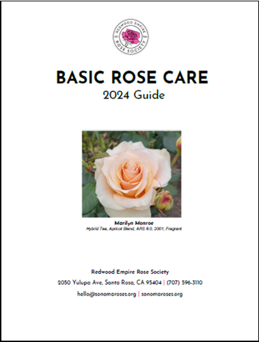 2024 Basic Rose Care Guide | Sonoma Roses