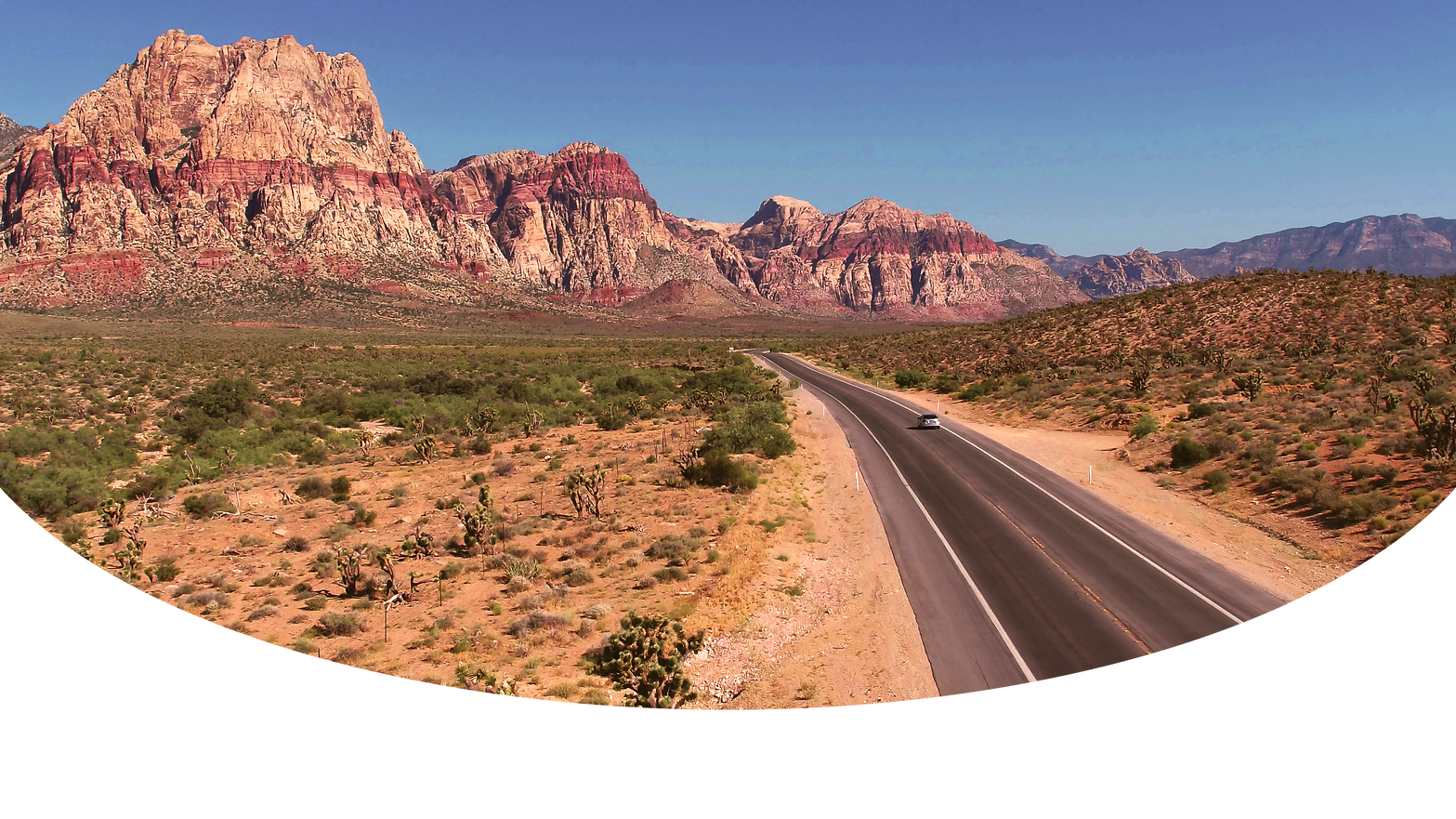 Southern Nevada Conservancy | Las Vegas Nonprofit Organization