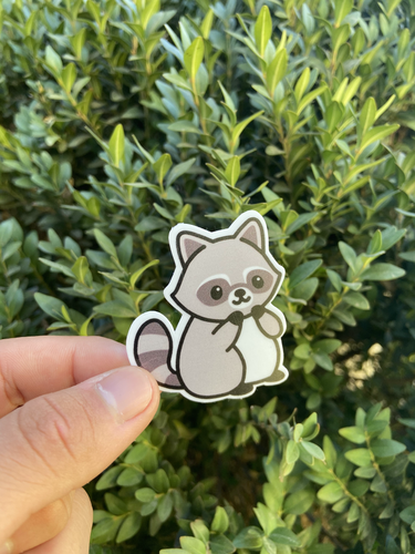 Raccoon | Stick.Co