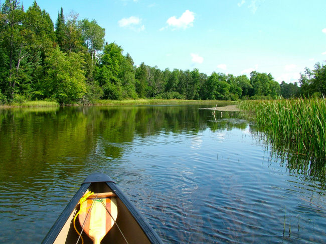 ACTIVITIES | Jose Lake Resort | South Branch, MI