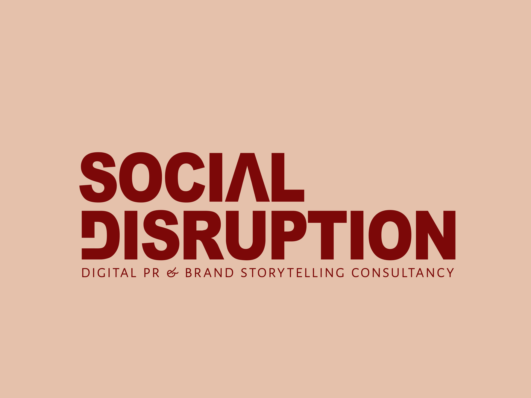 OUR SERVICES | Social Disruption