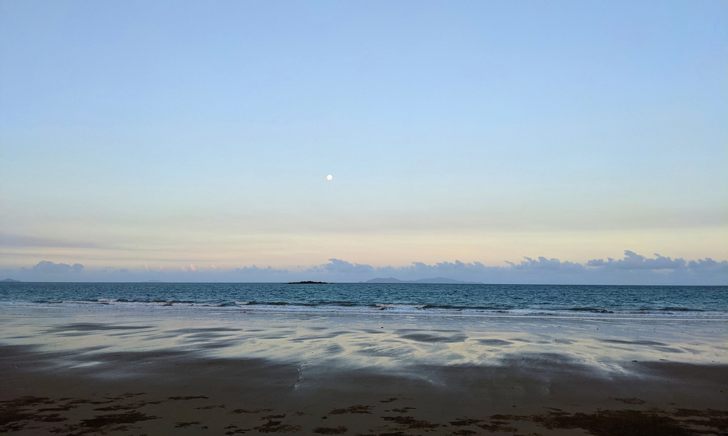 Environmental Consulting | Blue Terrain Pty Ltd