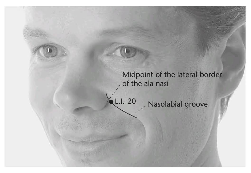 LI-20 Yíngxiāng (קבלת הריח) 迎香