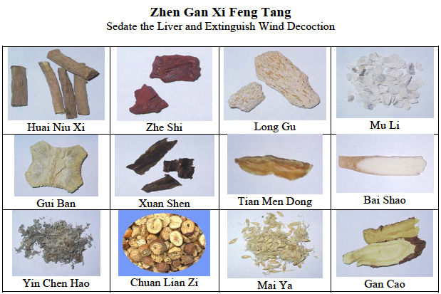 Zhen Gan Xi Feng Tang