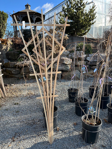 Diamond Fan Cypress Trellis | Plumline