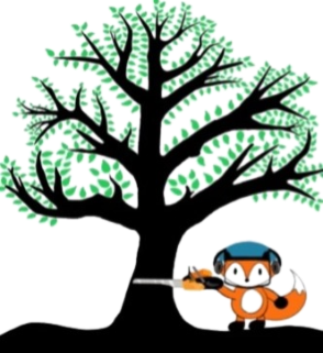 About Us | Martintreeservice