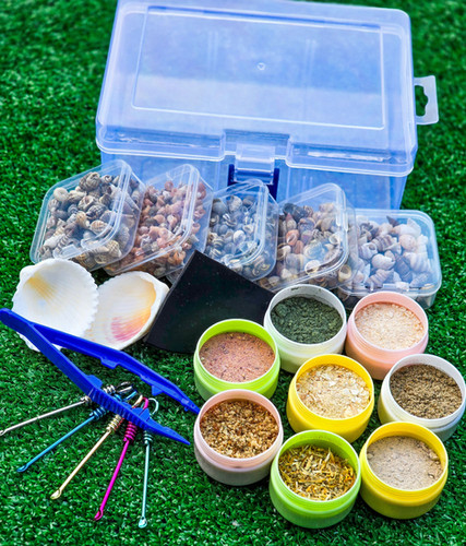 18pc Breeders Bento Box - Food & Shells Edition | The Happy Hermie