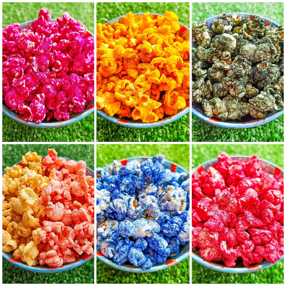 Popcorn Pack 4pk - Hermit Crab Treat | The Happy Hermie
