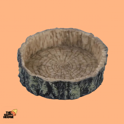 Captive Bred Baby Pool/Shell Shop | The Happy Hermie