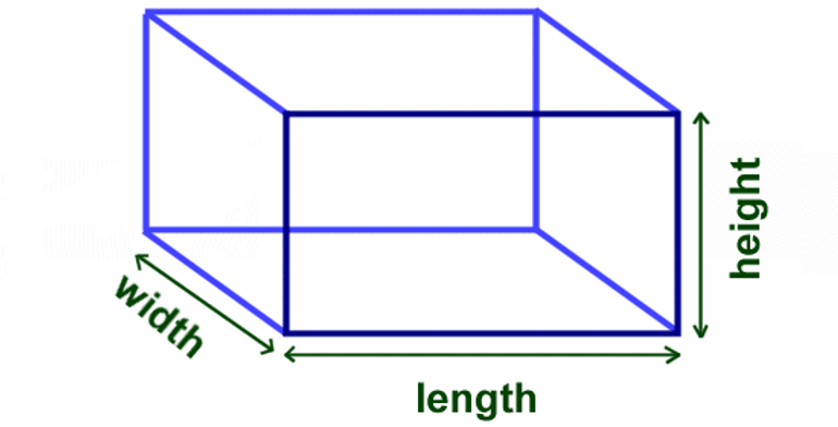 Picking The Right Tank For Hermit Crabs - Animal Favorite Foods