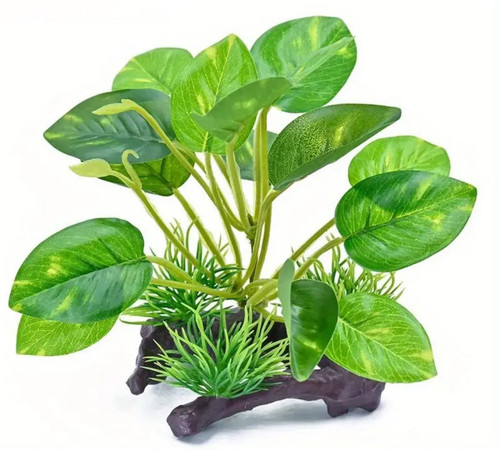 Small Sub Plant | The Happy Hermie