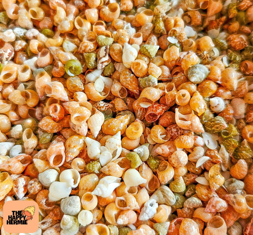 Captive Breeding Pheasant Transition Shells 100g | The Happy Hermie