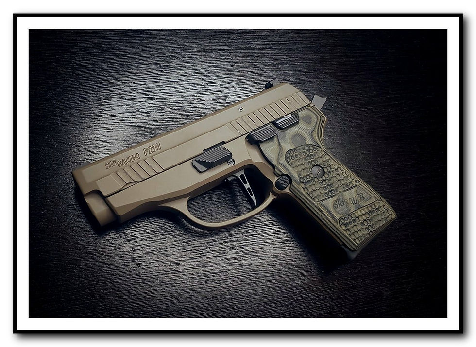 Sig Triggers & Hammers | armorycraft