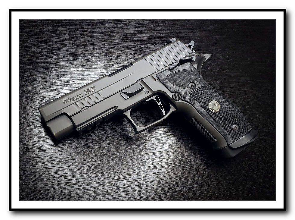 Sig X5 X6 X-Five X-Six Pistols & Parts | armorycraft