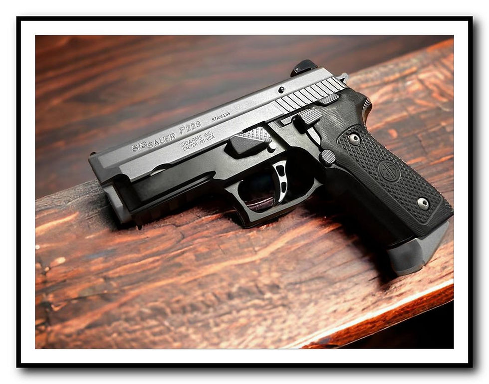 SIG Classic P-Series Parts | armorycraft