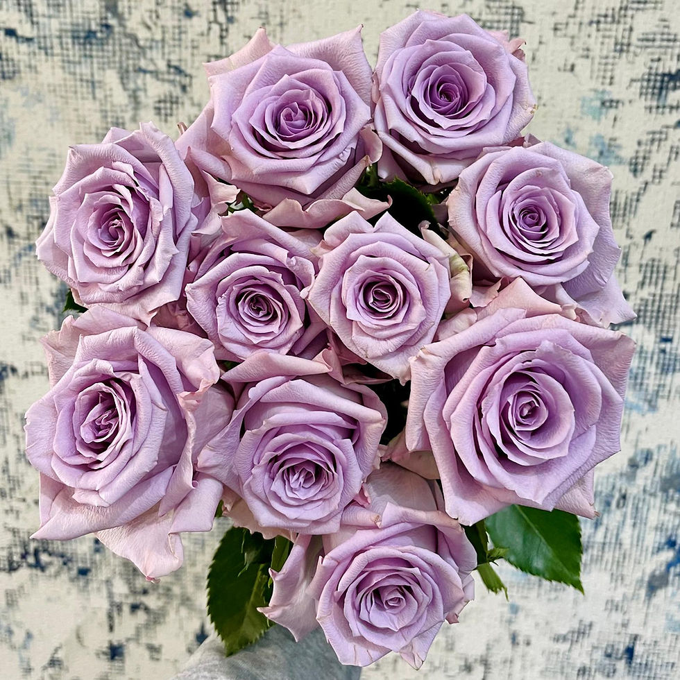 Optimus Flowers Limited | Wholesale Flower Importer