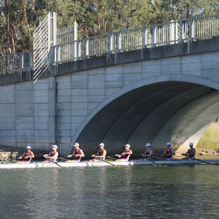 Programs | Toowong Rowing Club