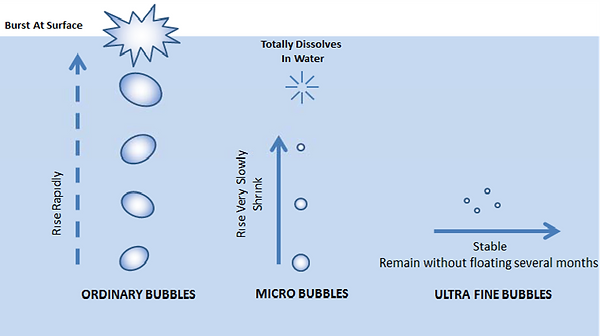 Tiny Bubbles, Huge Potential: Nanobubbles Explained! | TridentBubble.com