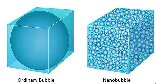 Tiny Bubbles, Huge Potential: Nanobubbles Explained! | TridentBubble.com