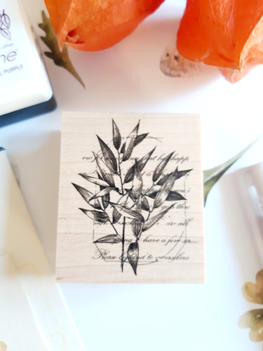 Botanical words 01 - Rubber stamp | vivianawilliams
