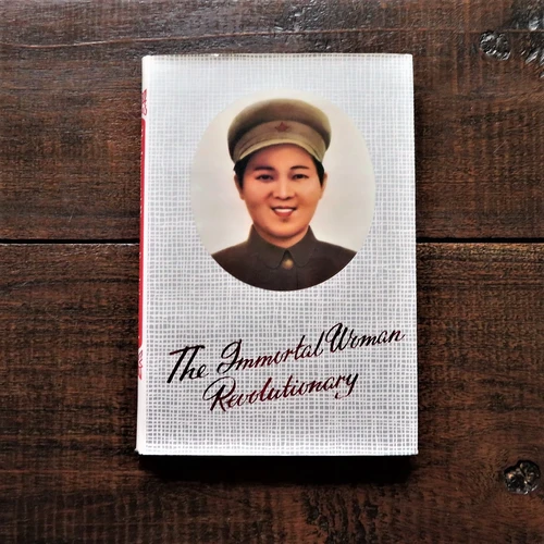 Book Korea Literature The Immortal Woman Revolutionary 1987 ...