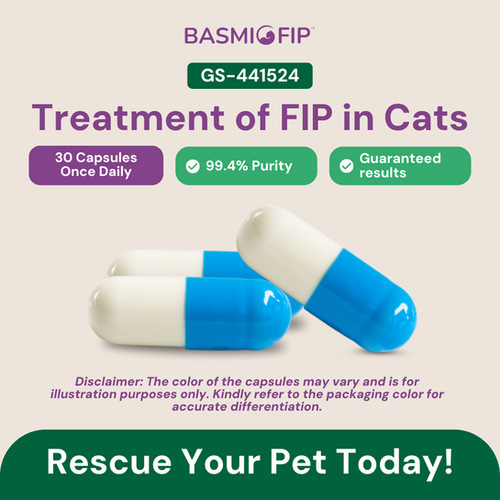 FIP Oral Capsules, 30 Days Treatment, Cats 2.5 ~ 4 kg | Basmi FIP India