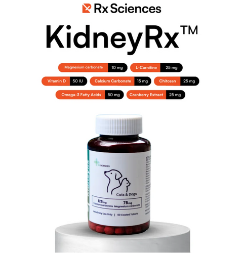KidneyRX™ - Effective Kidney Solution for Cats and Dogs | Basmi FIP India