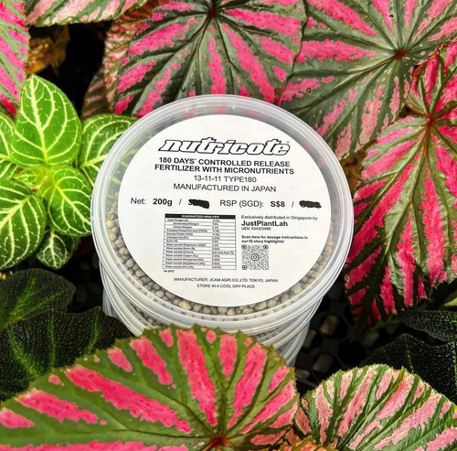 SLOW-RELEASE NUTRICOTE FERTILISER | The Chlorofeel Shop