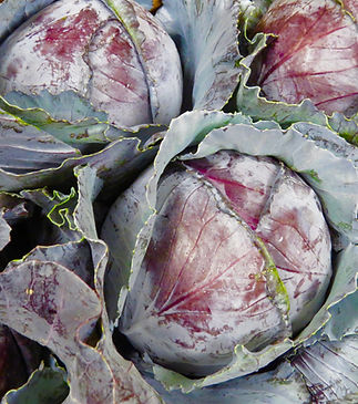 Our Products | A. Medrano Produce, LLC.