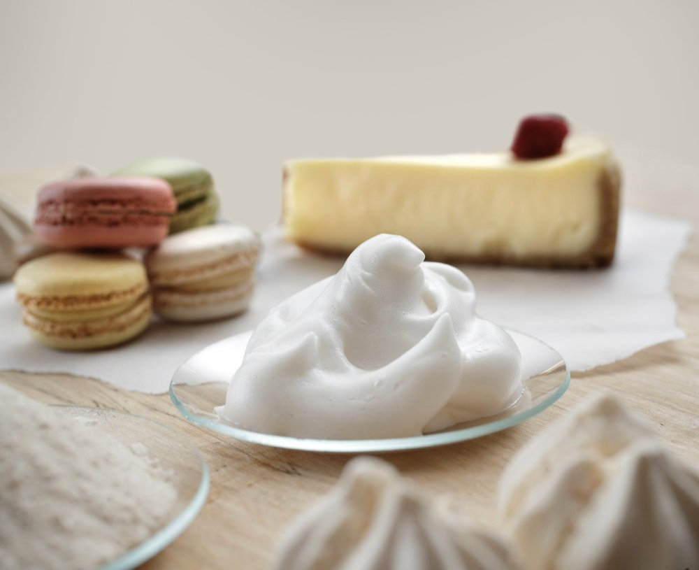 Onego Bio secures €14m in funding for precision fermentation | New Tech ...