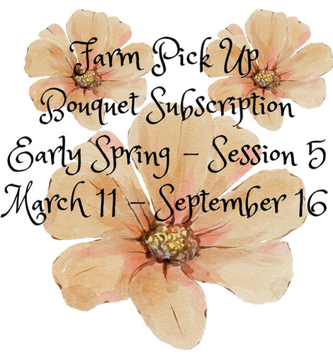 Farm Pick Up Bouquet Subscription $100 | agape