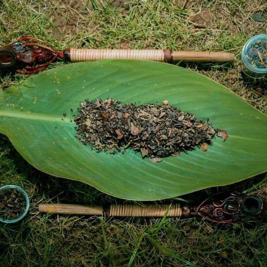 DMT & Changa - An Introduction