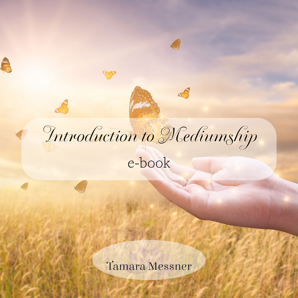 Tamara Messner | Medium