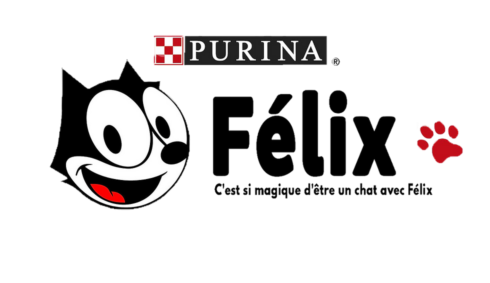 Portfolio | Dylan Kessler