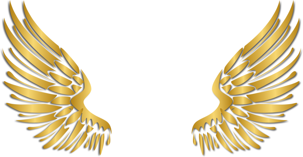 Dominion World | Home