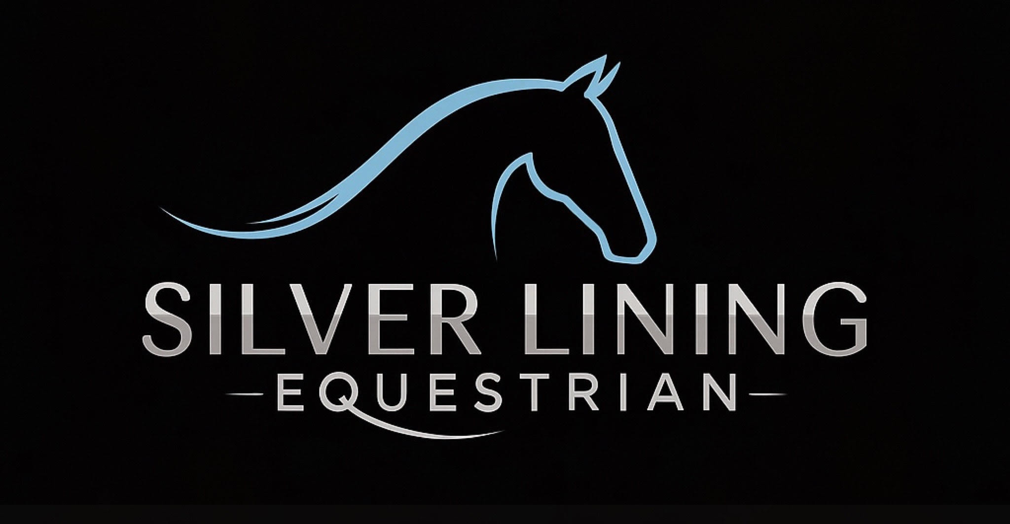 silver lining logo design
