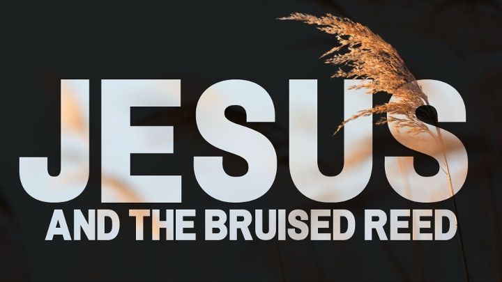 Jesus And The Bruised Reed