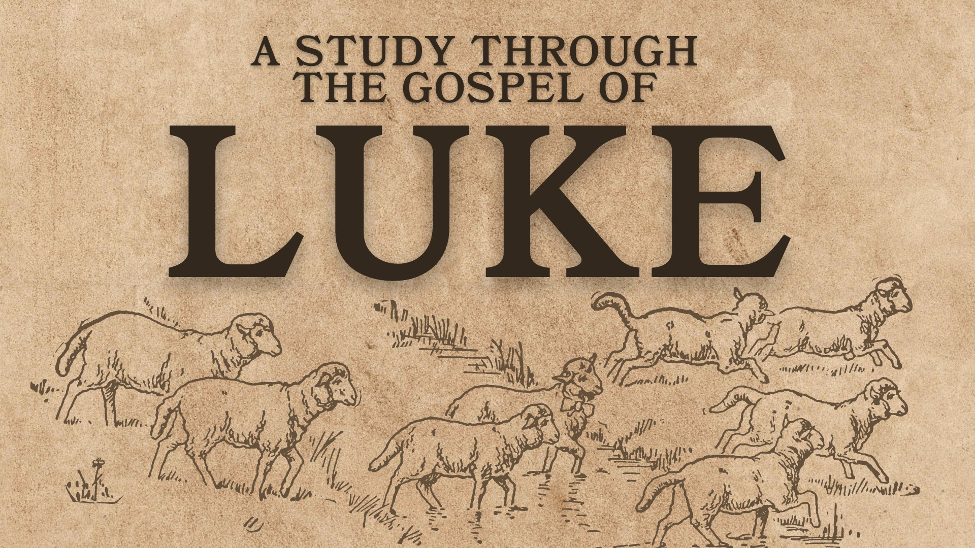 A Study Through The Gospel of Luke