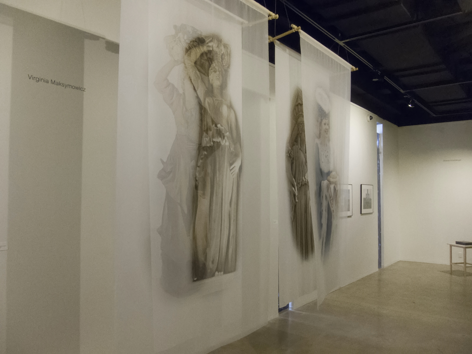 Comparisons | virginia-maksymowicz