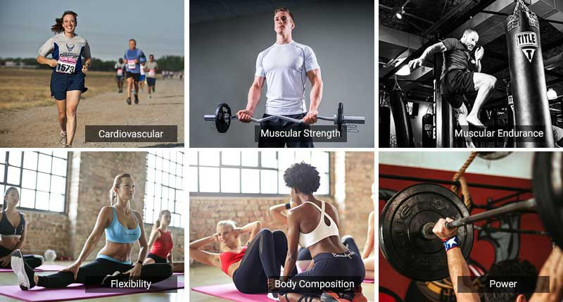 The 5 Major Components of Fitness - Hungry4Fitness