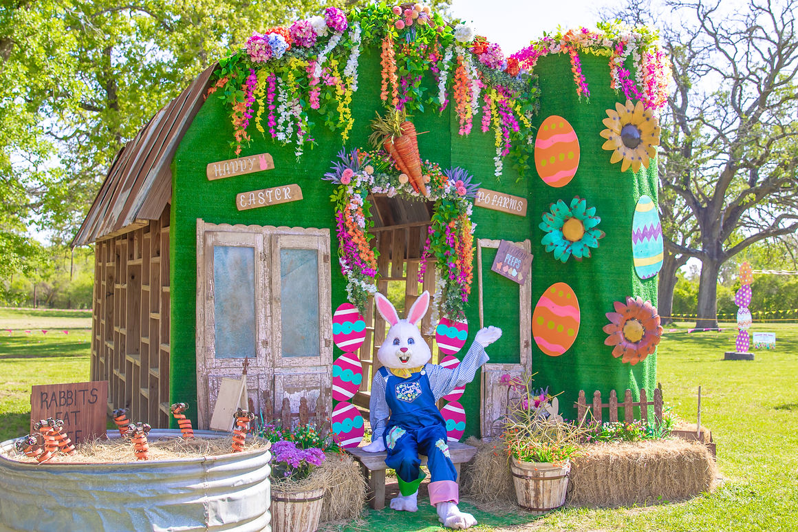 P-6 Farms - Houston's #1 Seasonal Festival Farm