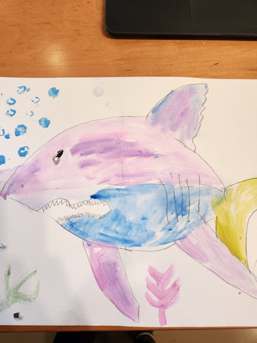 Mandy Moynagh - "The Colourful Shark" | Estey Art Initiative