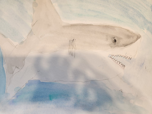 Isabelle Waite - "Old Shark" | Estey Art Initiative