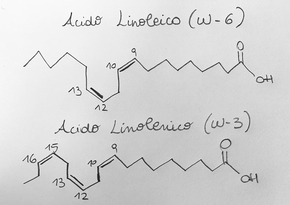 Cosa sono gli Omega-3?