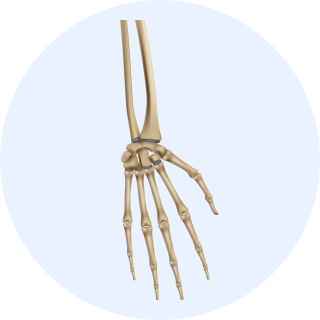 The Hand, Wrist & Elbow Center