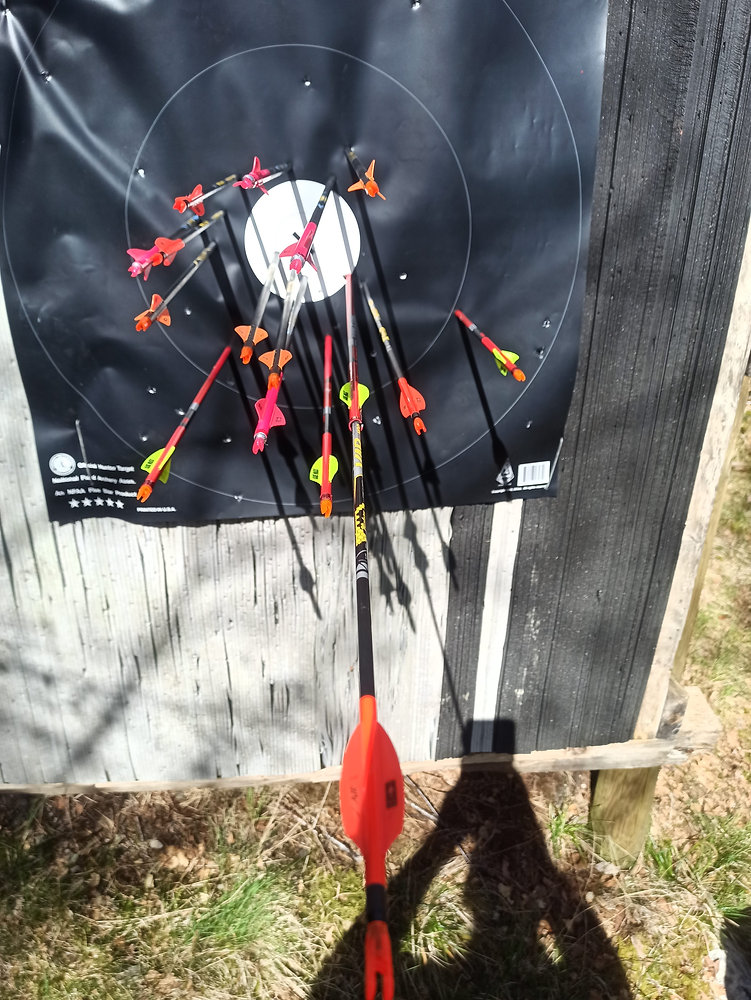 SFAA Membership 23 > 24