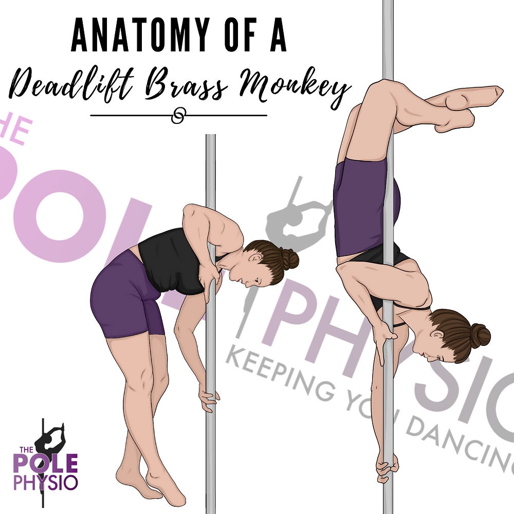 Anatomy of a Brass Monkey Deadlift