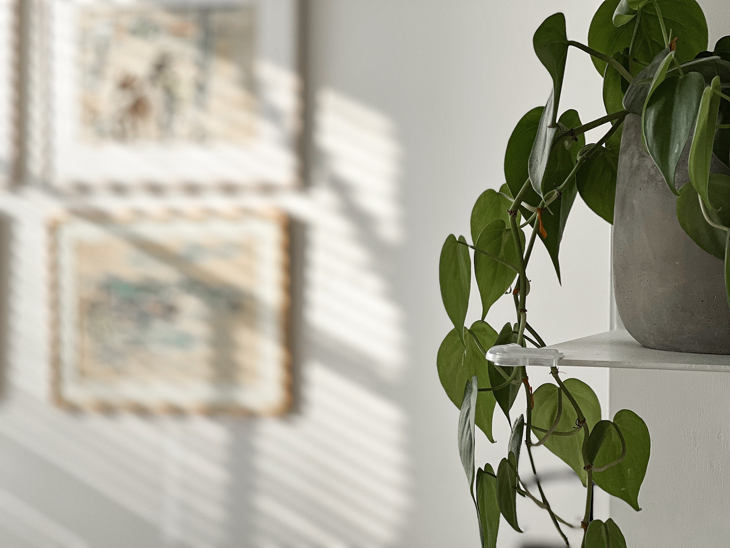 עינב מאי - עיצוב פנים | Einav May Studio & Practice