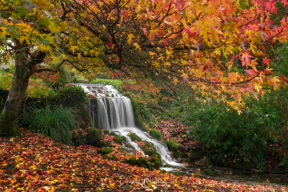 Landscape Photography Blog, November 2020